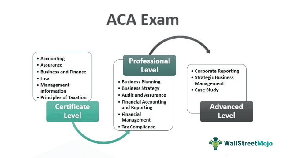 Beginner's Guide to ACA Exam - Associate Chartered Accountant