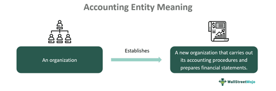 Accounting Entity - What Is It, Examples