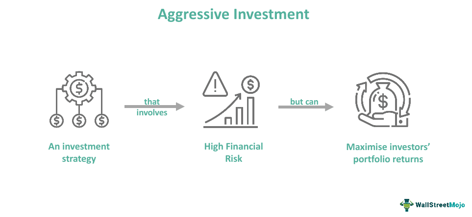 Aggressive Investment - What Is It, Examples, Strategies, Options