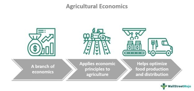 Agricultural Economics - What It Is, Importance, Scope, Types