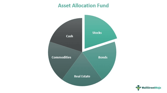 Asset Allocation Fund - What Is It, Explained, Types, Examples