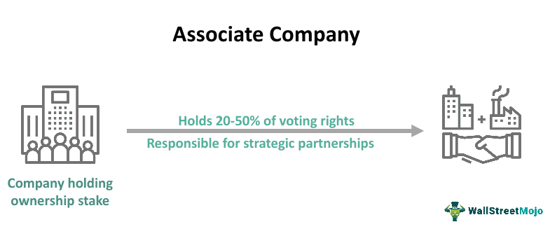 Associate Company - Meaning, Examples, Vs Subsidiary Company