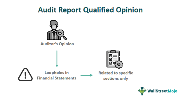 Audit Report Qualified Opinion - What Is It, Examples