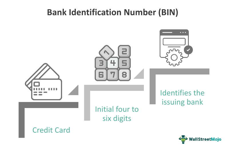 Bank Identification Number (BIN) - What Is It, How To Find?