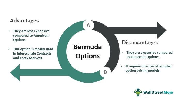 Bermuda Options (Definition, Examples) | How it Works?