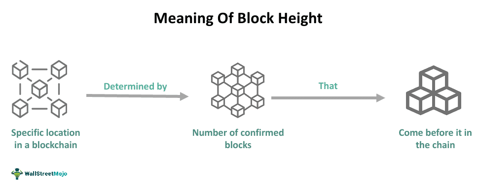 Block Height in Blockchain - What It Is, Example, How To Calculate