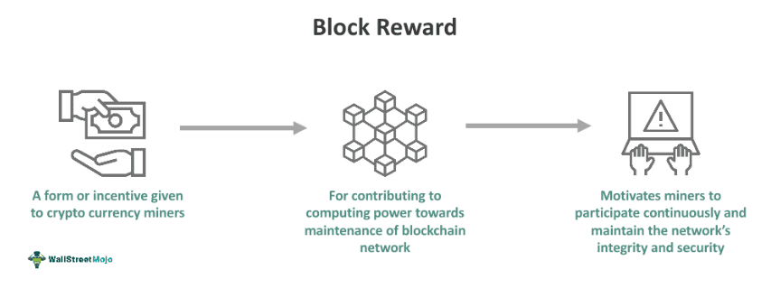 Block Reward - What Is It, Examples, Pros, Vs Transaction Fee