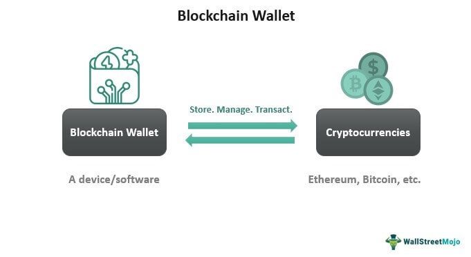 Blockchain Wallet - Types, Fees, Security, Examples, What Is It?