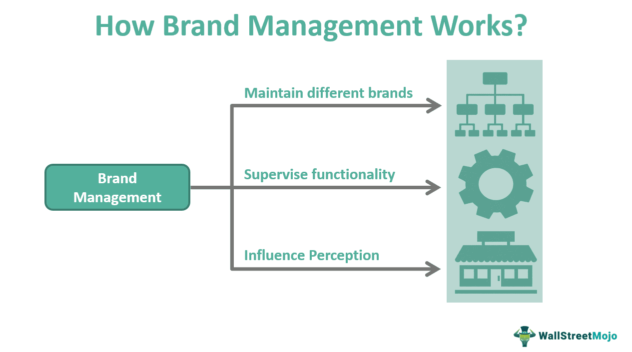 Brand Management - What Is It, Strategies, Examples
