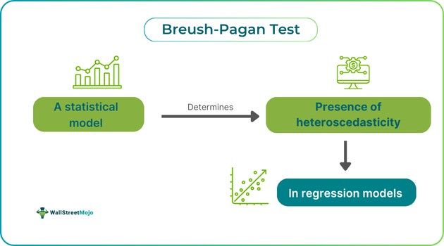 Breusch-Pagan Test - What Is It, Examples