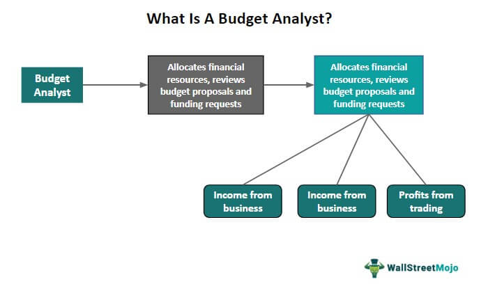 Budget Analyst - What Is It, Qualifications, Responsibilities