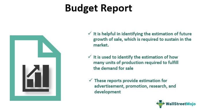 Budget Report (Definition, Example) | How it Works?