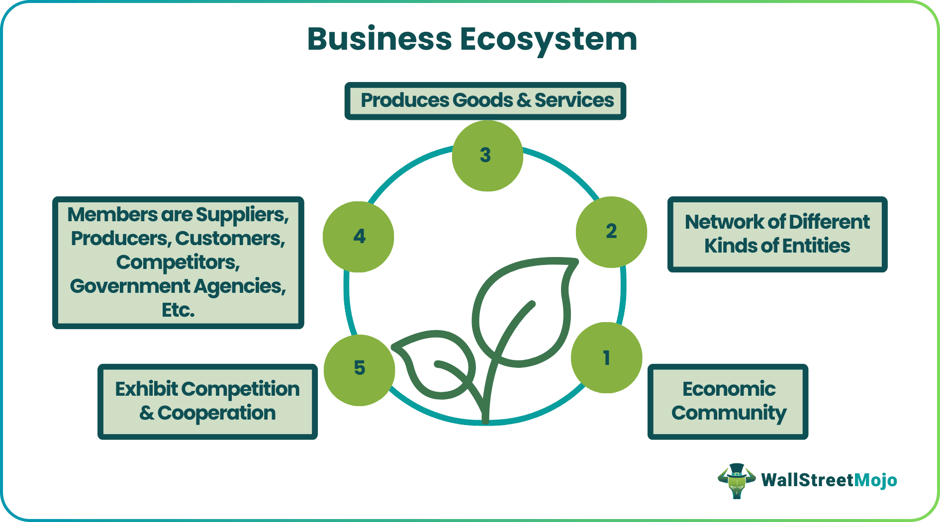 Business Ecosystem - Definition, Examples, Model, Types