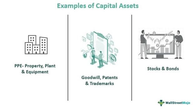 Capital Assets - Meaning, Examples, Vs Ordinary Assets