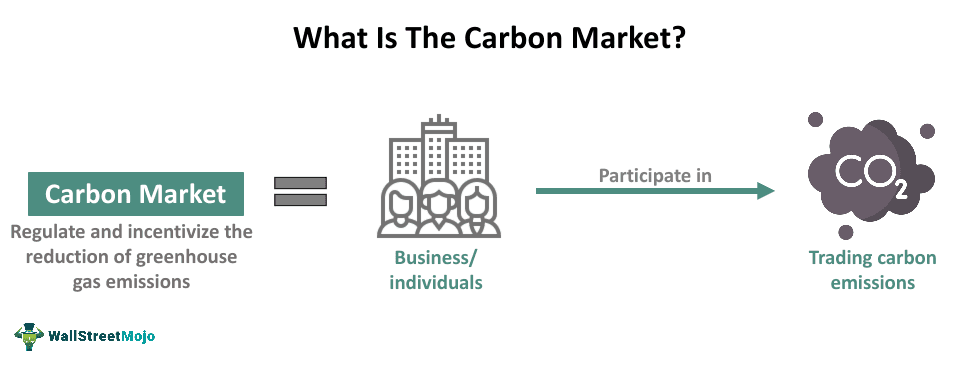 Carbon Market - What It Is, Types, Importance, Challenges