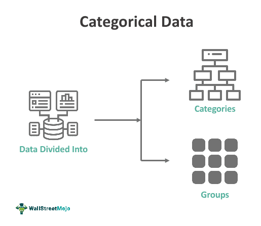 Categorical Data - What Is It, Examples, Types, Vs Numerical Data