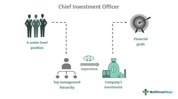 Chief Investment Officer - Definition, Salary, Requirement, Vs CEO