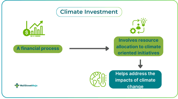 Climate Investment - What It Is, Examples