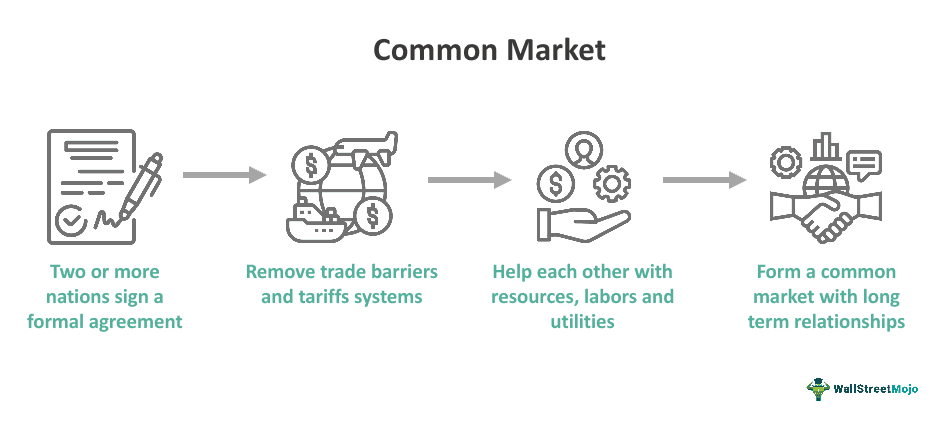 Common Market - What Is It, Examples, Pros, Vs Customs Union