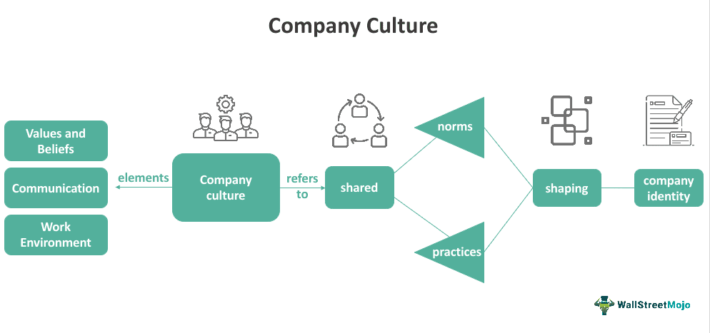Company Culture - What Is It, Examples, Types, How To Improve?