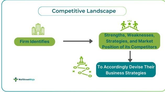 Competitive Landscape - Meaning, Examples, How To Do?