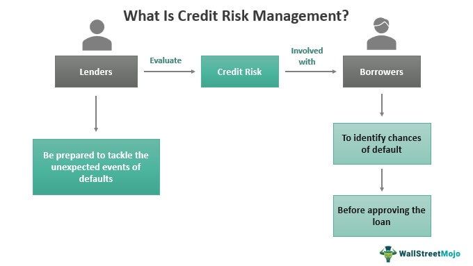 Credit Risk Management - Meaning, Steps, Principles, Examples
