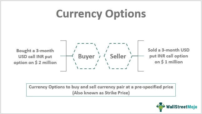Currency Options - Definition, Examples, Trading Strategies