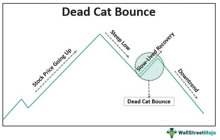 Dead Cat Bounce - Meaning, Stock Patterns, Examples, Causes