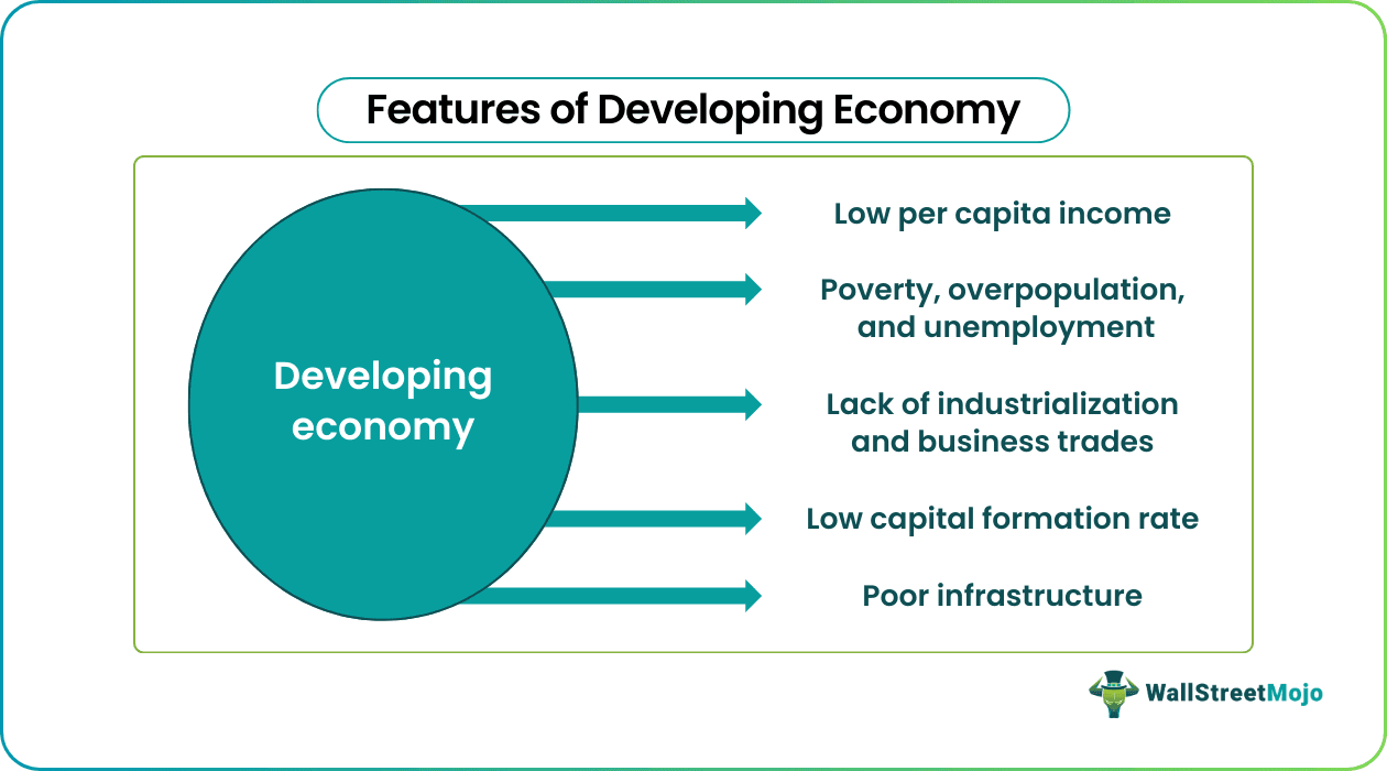 Developing Economy - Definition, Characteristics, Examples