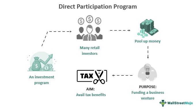 Direct Participation Program (DPP) - What Is It, Types, Examples