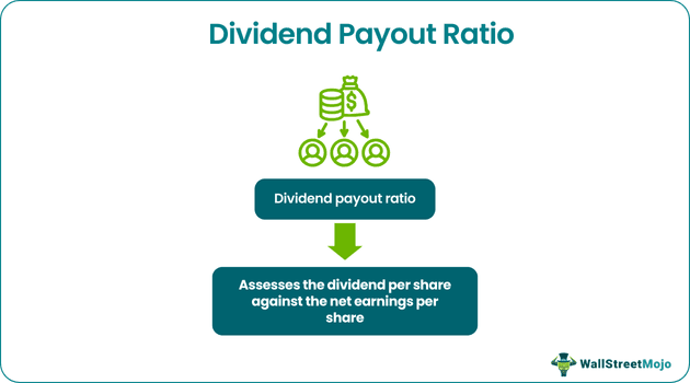 Dividend Payout Ratio - What Is It, Formula, Interpretation