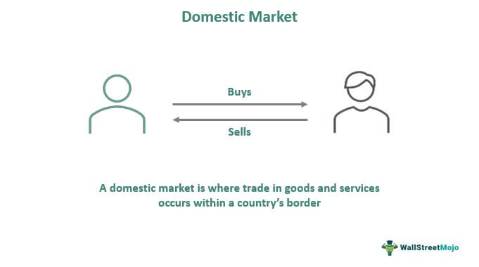 Domestic Market - Meaning, Example, Pros & Cons, How it Works?