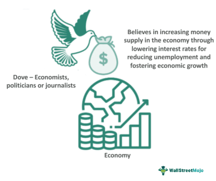 Dove Economic Policy Advisor - What Is It, Examples, Vs Hawkish