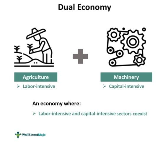 Dual Economy - What Is It, Examples, Advantages, Characteristics