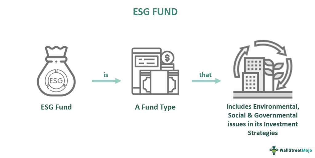 ESG Fund - Meaning, Types, Example, Pros, Cons, How To Invest?