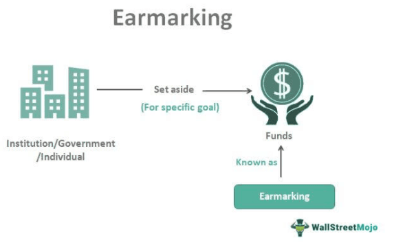 Earmarking - Meaning, Vs Pork Barrel, Types, Examples