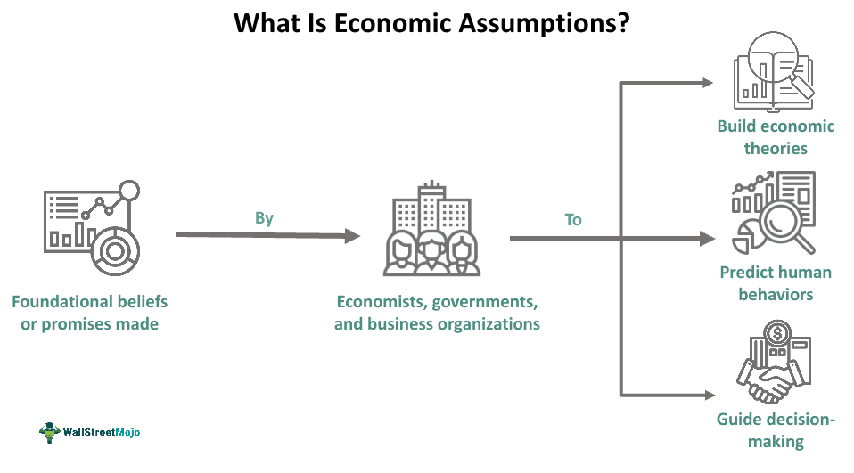 Economic Assumptions - Definition, 5 Key Assumptions, Examples