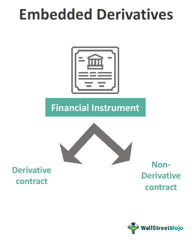 Embedded Derivatives - Meaning, Examples, Accounting