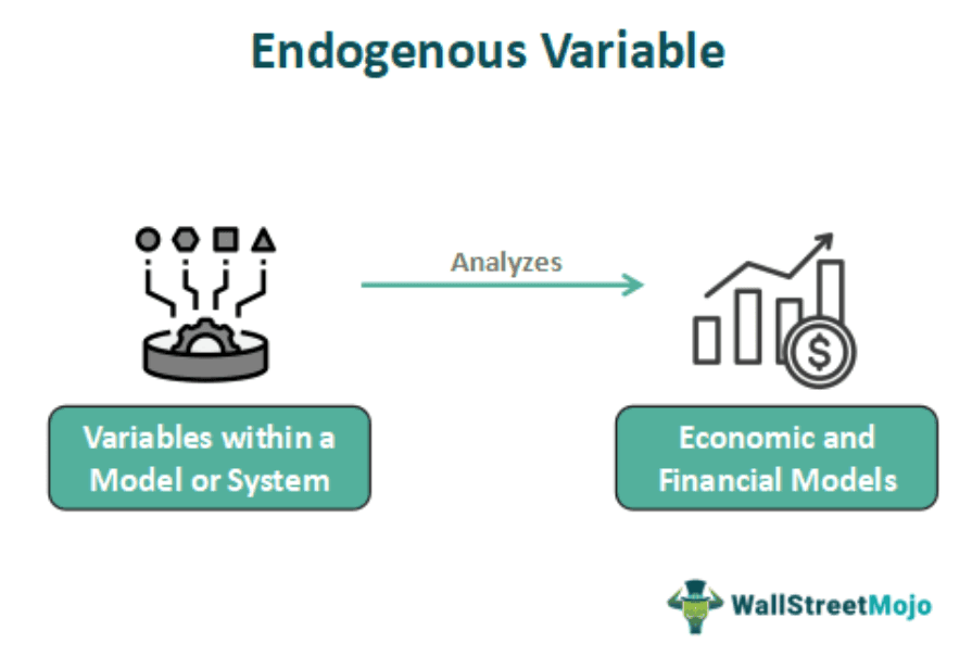 Endogenous Variable - What Is It, Example, Vs Exogenous Variable