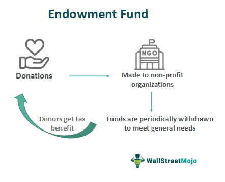 Endowment Fund - What Is It, Example, Types, Features