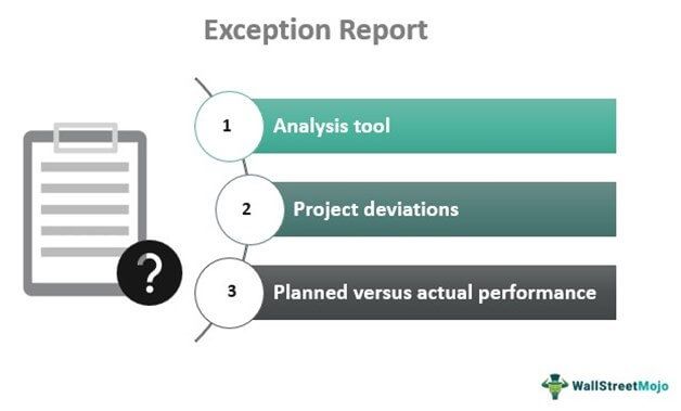 Exception Report - Meaning, Explanation, Example