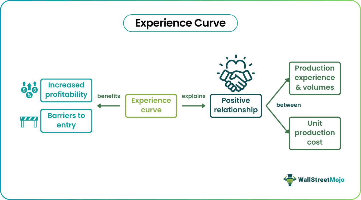 Experience Curve - What Is It, Vs Learning Curve, Examples