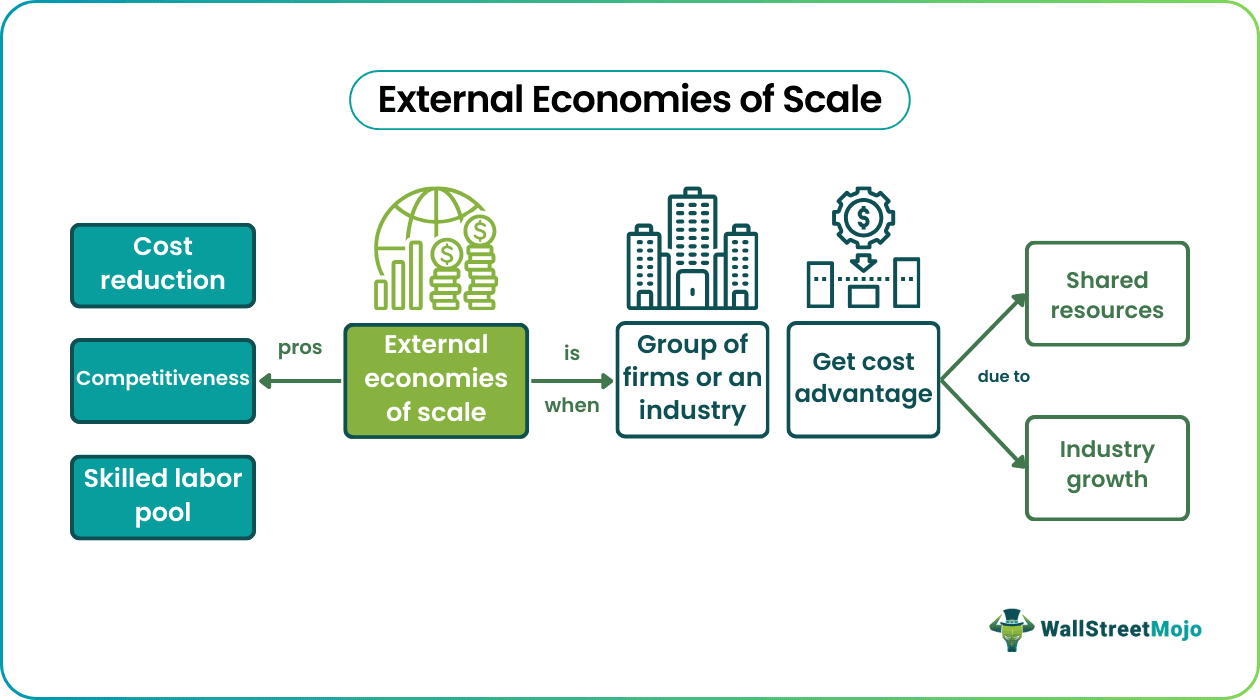 External Economies Of Scale What Is It Examples Diagram