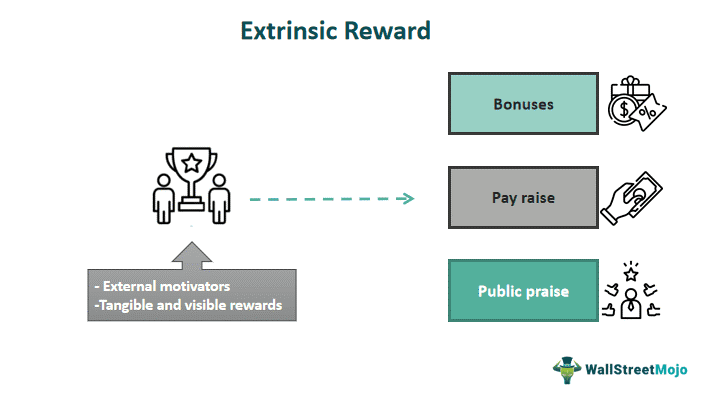 Extrinsic Reward - What Is It, Examples, Vs Intrinsic Reward