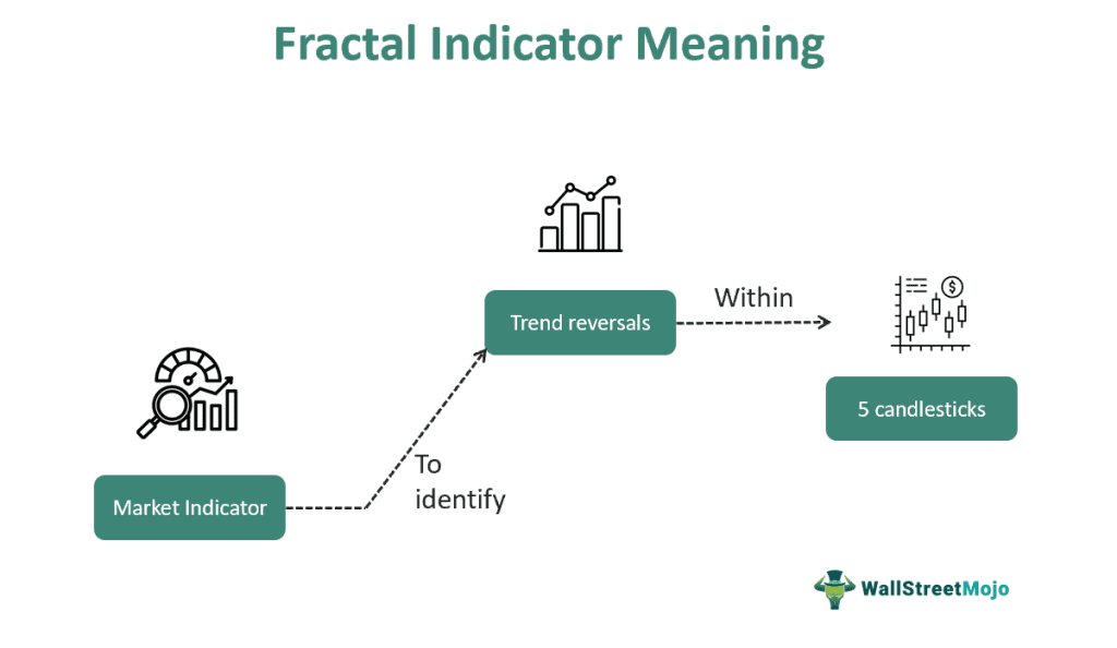 Fractal Indicator - What Is It, Examples, How To Use in Trading?