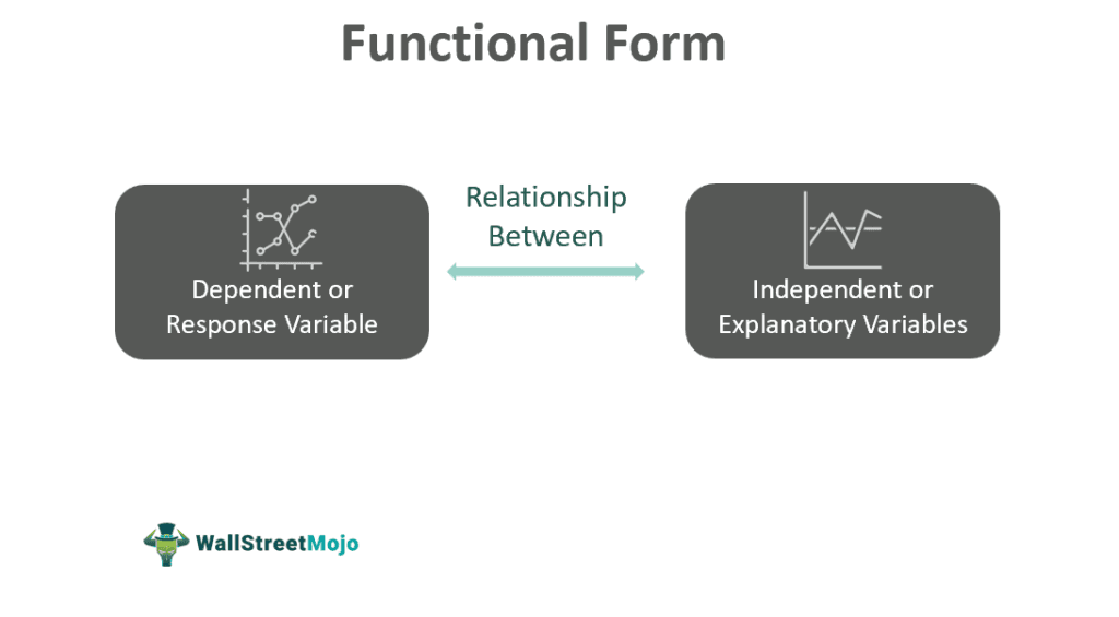 Functional Form - What Is It, Examples, Uses, Importance