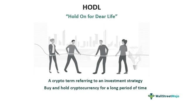 HODL - Meaning, Strategy, Pros, Cons, How it Works?