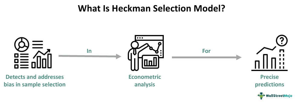 Heckman Selection Model - What It Is, Examples, Assumptions