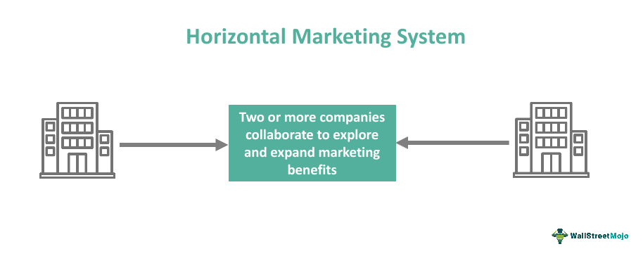 Horizontal Marketing System - What Is It, Examples, Vs Vertical