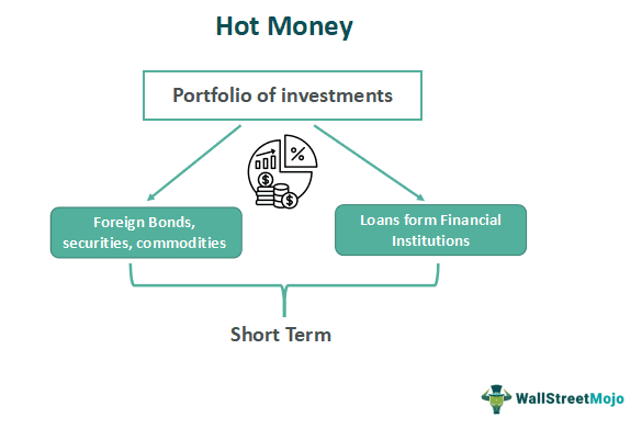 Hot Money - Meaning, Example, Purpose, Types, Risk